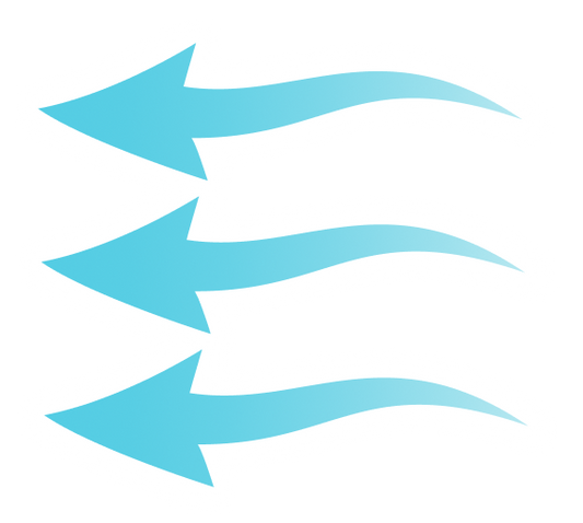 Cat Window Box & Cat Window Litter Box | VistaGato