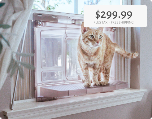 Cat Window Box & Cat Window Litter Box | VistaGato
