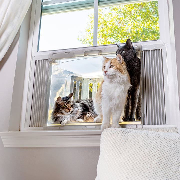 Cat Window Box & Cat Window Litter Box | VistaGato